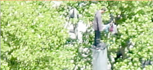 Jordan Burchette // Reviews // Blaine Teaser